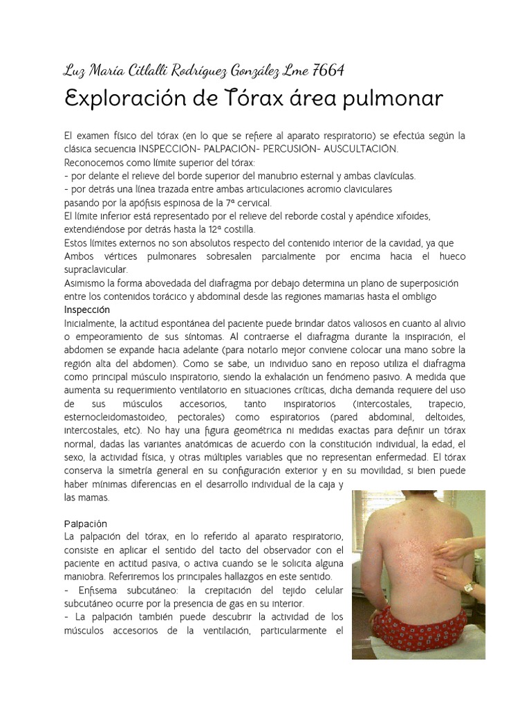 Exploracion de Torax . | PDF | Tórax (anatomía humana) | Anatomía