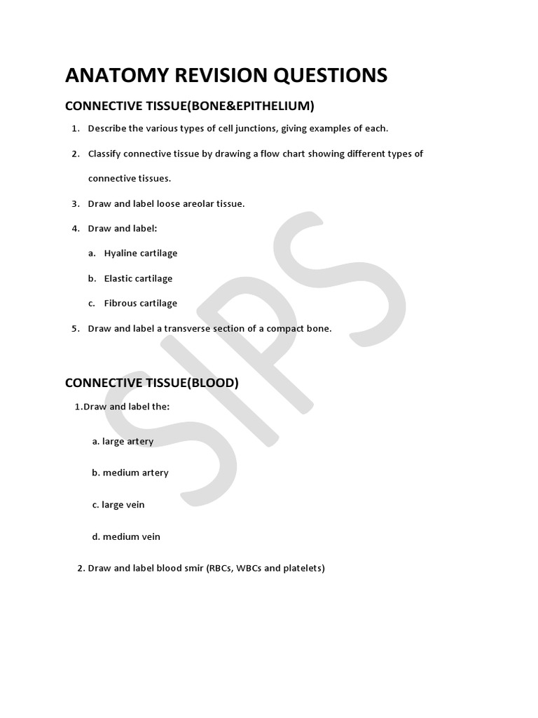 Anatomy Revision Assignment Questions | PDF | Foot | Human Leg