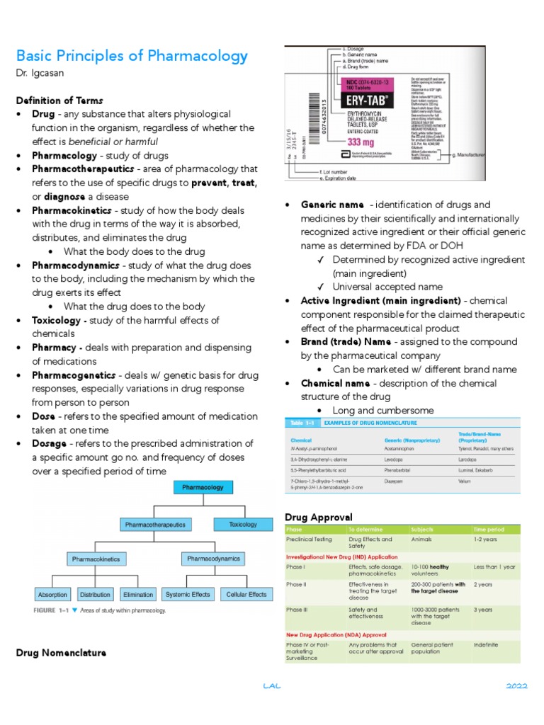 Understanding Pharmacology: A Comprehensive Overview of Key Concepts ...