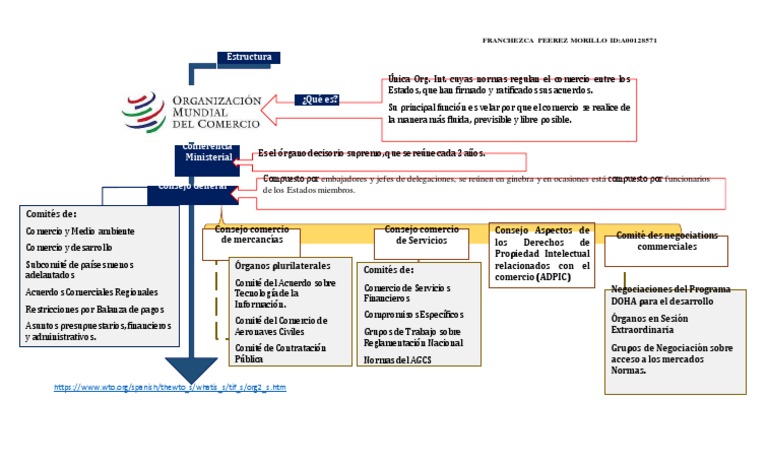 PEREZ-MORILLO-FRANCHEZCA Unidad V. Actividad I. Mapa Conceptual OMC | PDF | Comercio | Gobierno