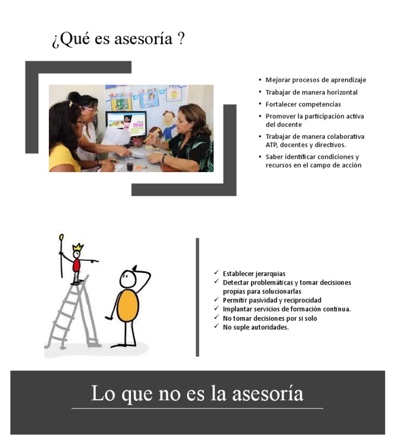 Definición y Propósito de la Asesoría | PDF | Negocios