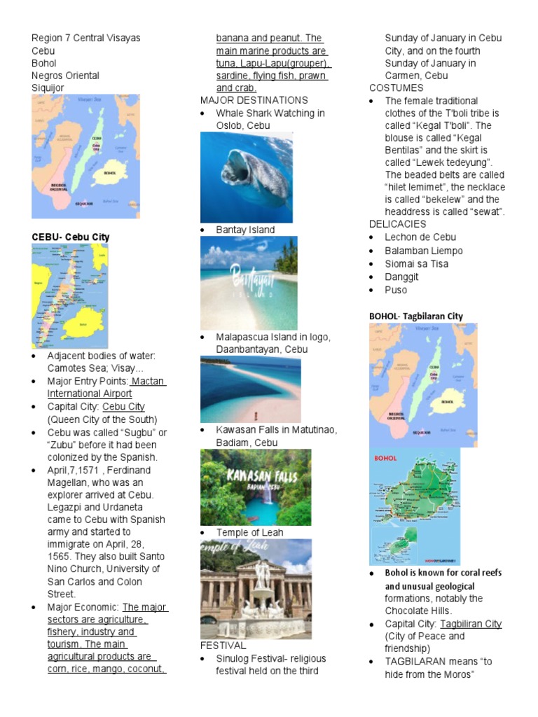 Region 7 Central Visayas | PDF | Cebu