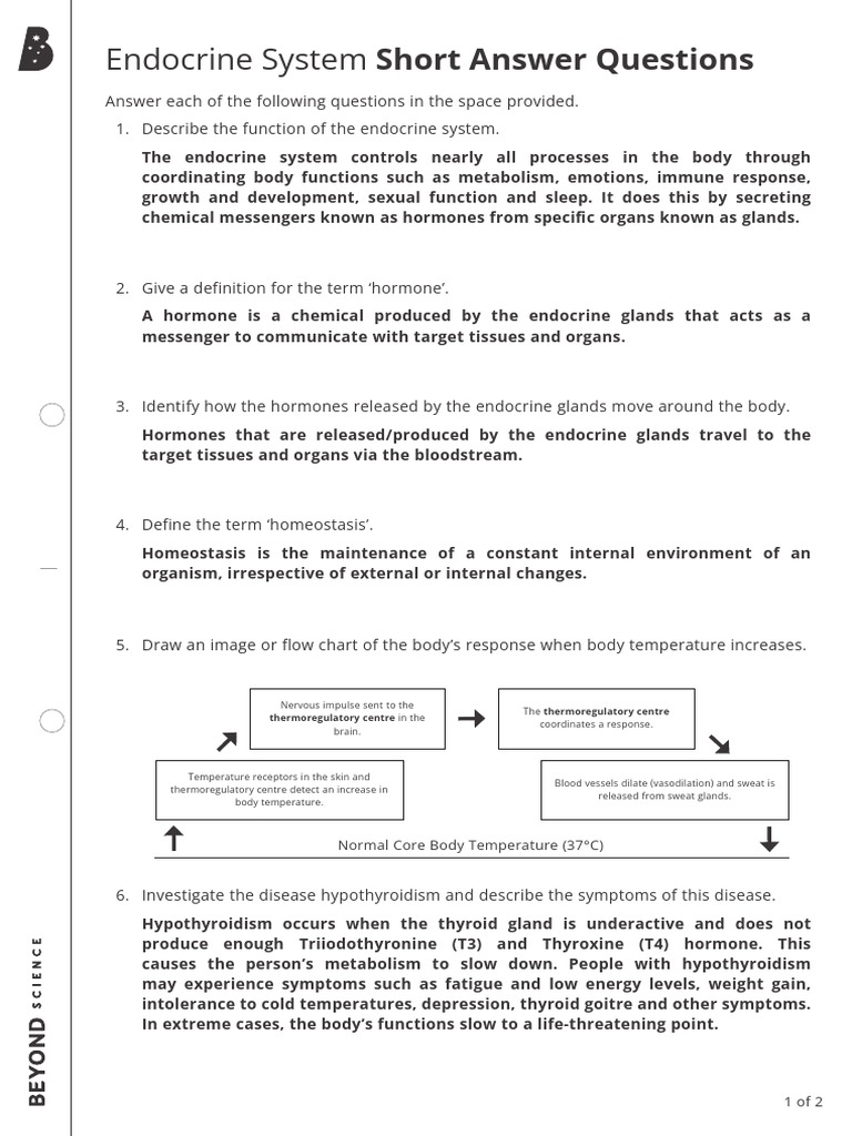 Endocrine System Short Answer Questions - LA - Answers | PDF | Hormone ...