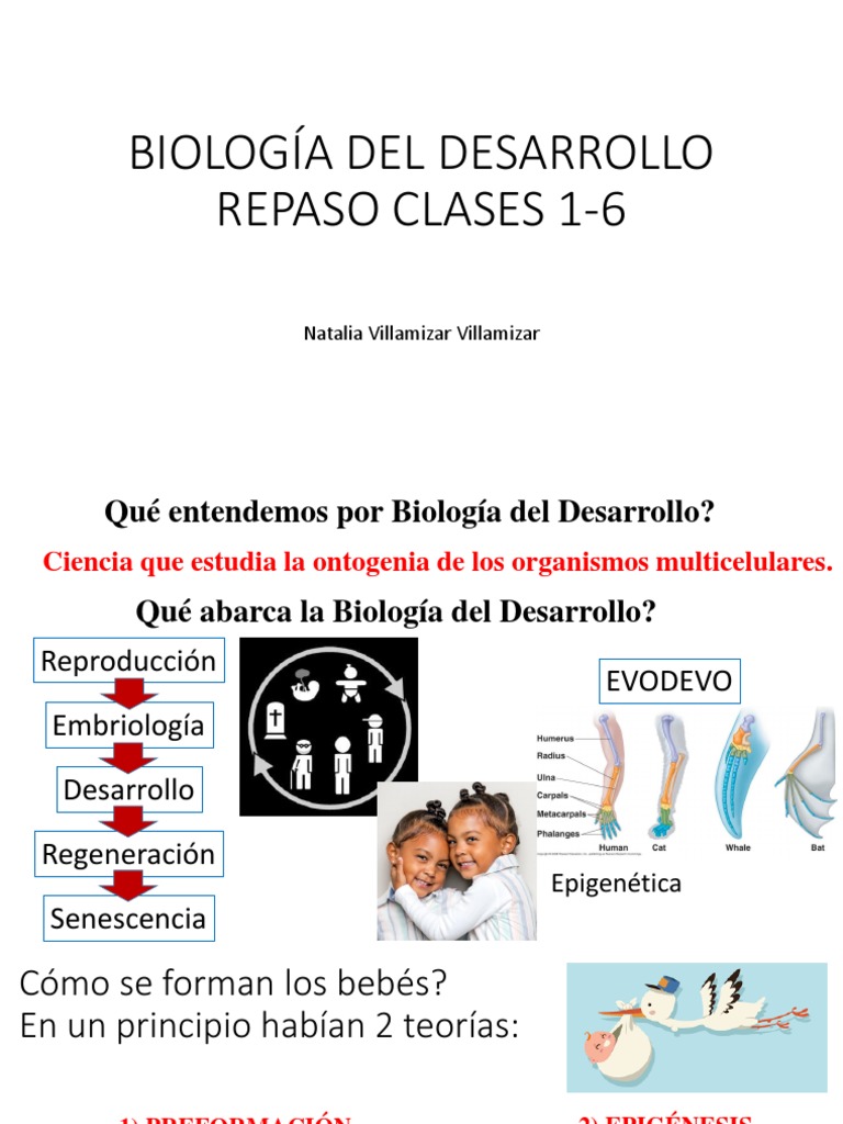 Biología Del Desarrollo Repaso Clases 1-6: Natalia Villamizar ...