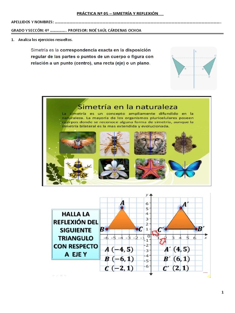 Práctica #05 - Simetría Y Reflexión | PDF