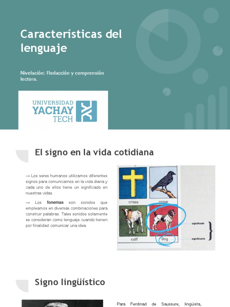 3 - El Leguaje | PDF | Palabra | Morfología (Lingüística)