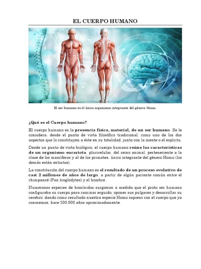 El Cuerpo Humano Pdf Cuerpo Humano Homo Sapiens