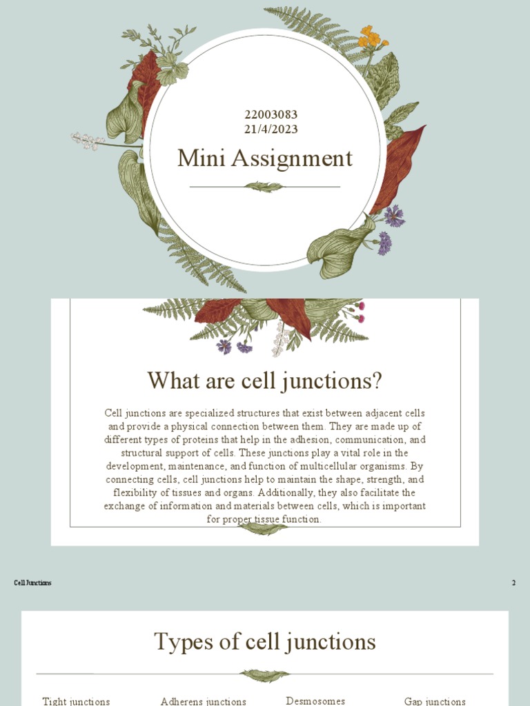 Mini Assignment | Download Free PDF | Cell Adhesion | Tissue (Biology)
