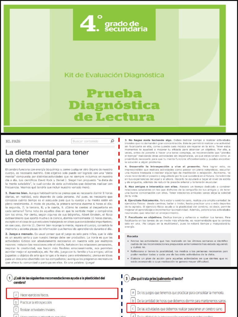 Prueba Diagnostica Lectura - 4sec | PDF