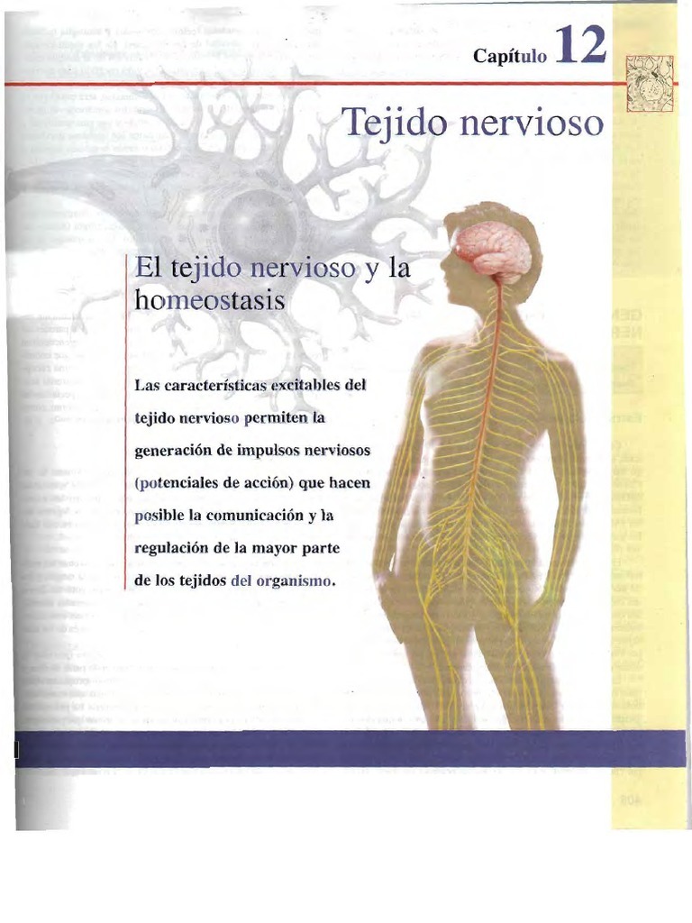 Gérard J. Tortora, Bryan Derrickson-Principios de Anatomía y Fisiología ...