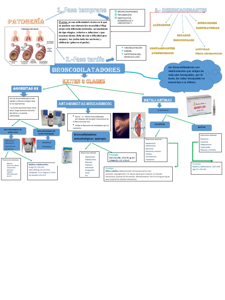 Broncodilatadores | PDF | Cuidado de la salud | Farmacología