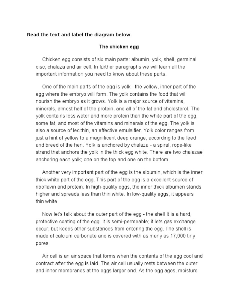 IELTS Reading Diagram Labelling Sample | PDF | Yolk | Egg