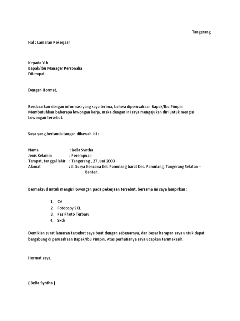 CV Bella Syntha 2 | PDF