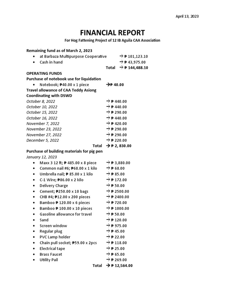 Financial Report | PDF