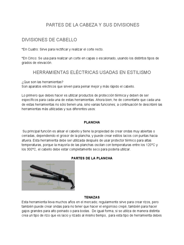 Partes de La Cabeza Y Sus Divisiones Divisiones de Cabello: Plancha ...