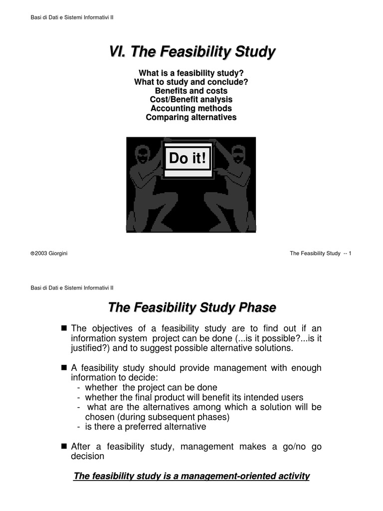 VI. The Feasibility Study | PDF | Feasibility Study | Net Present Value