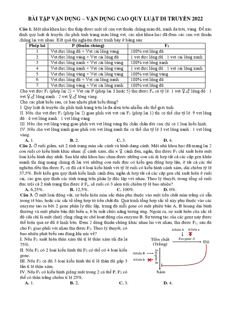 VD-VDC QUY LUẬT DI TRUYỀN | PDF