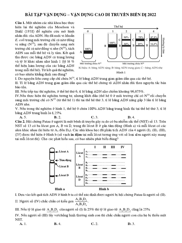 VD-VDC DI TRUYỀN BIẾN DỊ | PDF