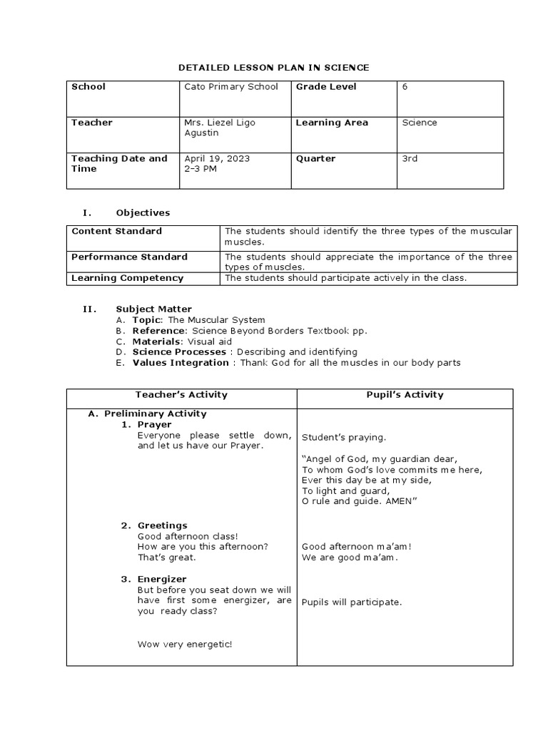 Grade 6 Muscular System Lesson Plan | PDF | Skeletal Muscle | Human Body