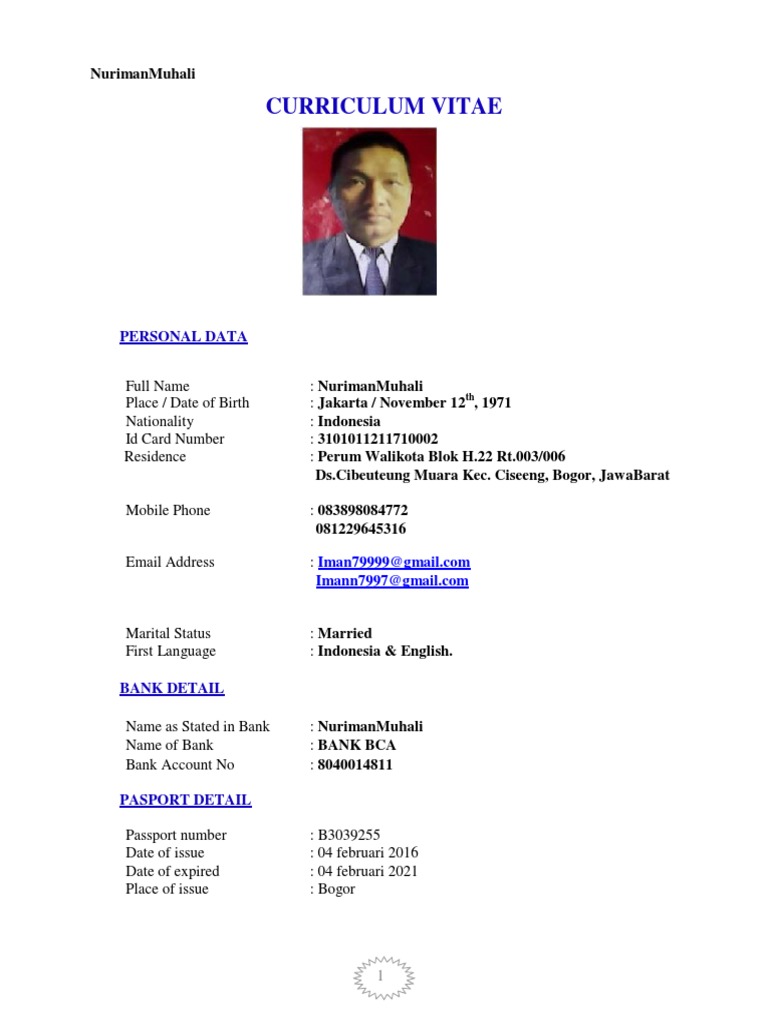 Nuriman Muhali: Professional Diver CV | PDF | Business | Science ...