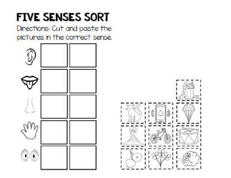 5 Senses Cut and Paste | PDF