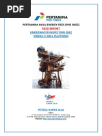 Prima Energi: Indonesia's Oil Future | PDF | Petroleum Reservoir ...