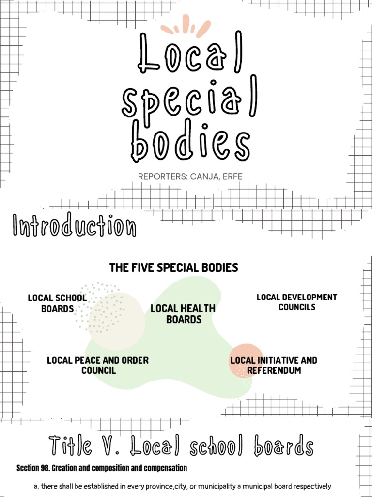 Overview of Local Special Bodies | PDF | Local Government | Mayor