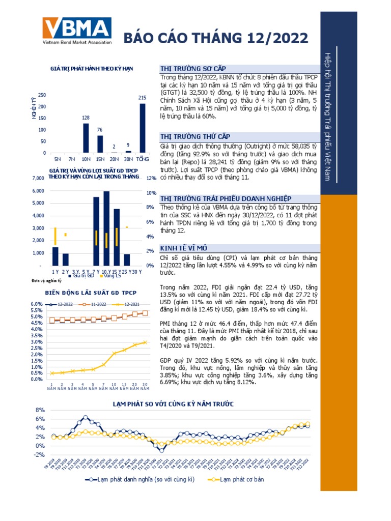 Vbma - Bao Cao TTTP Thang 12 2022 | PDF