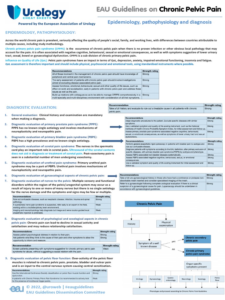 Cheat Sheet - EAU Pelvic Pain | PDF | Pain | Chronic Pain