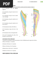 Lower Extremity Stretching Home Exercise Program (Article) Author ...