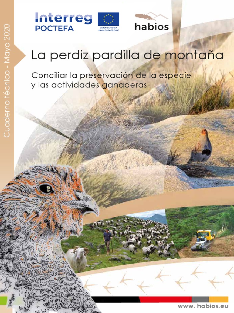La perdiz pardilla de montaña_HABIOS | PDF | Montañas | Pasto