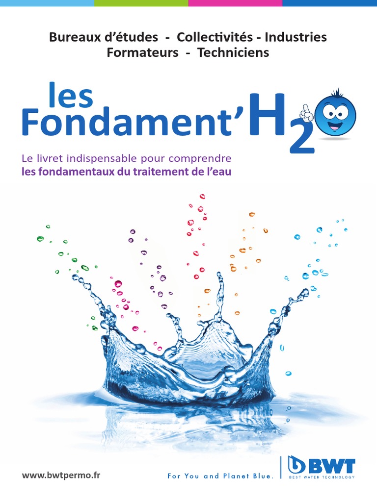 Lesfondamentaux Du Traitement de L'eau | PDF