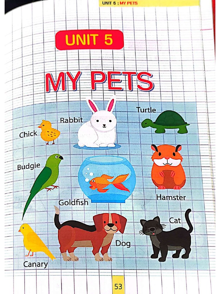 My Pets Unit 5 | PDF