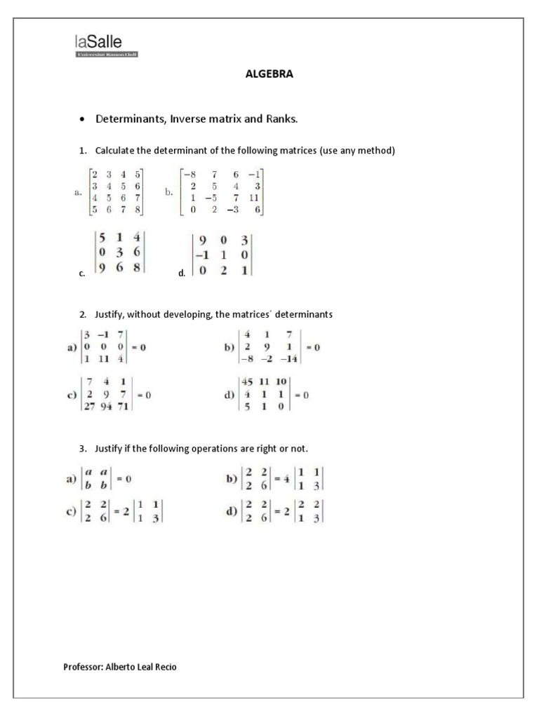 02. Determinants, inverse matrix and rank (exercises) | PDF
