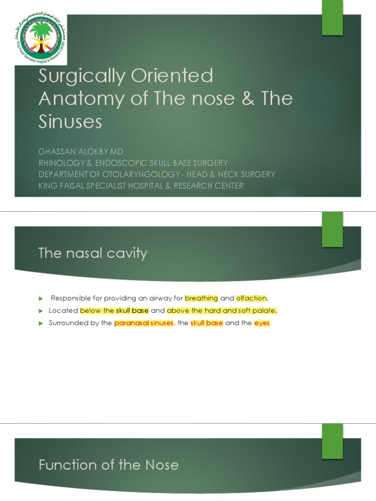 Basic Sinus Anatomy | PDF | Human Nose | Human Anatomy