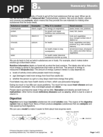Year 8 Photosynthesis Learning Guide | PDF | Leaf | Photosynthesis