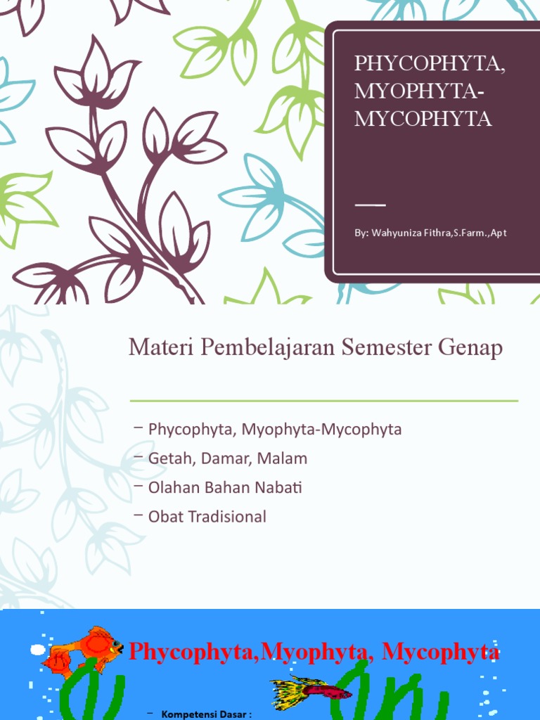Simplisia Phycophyta, Myophyta-Mycophyta 1 | PDF