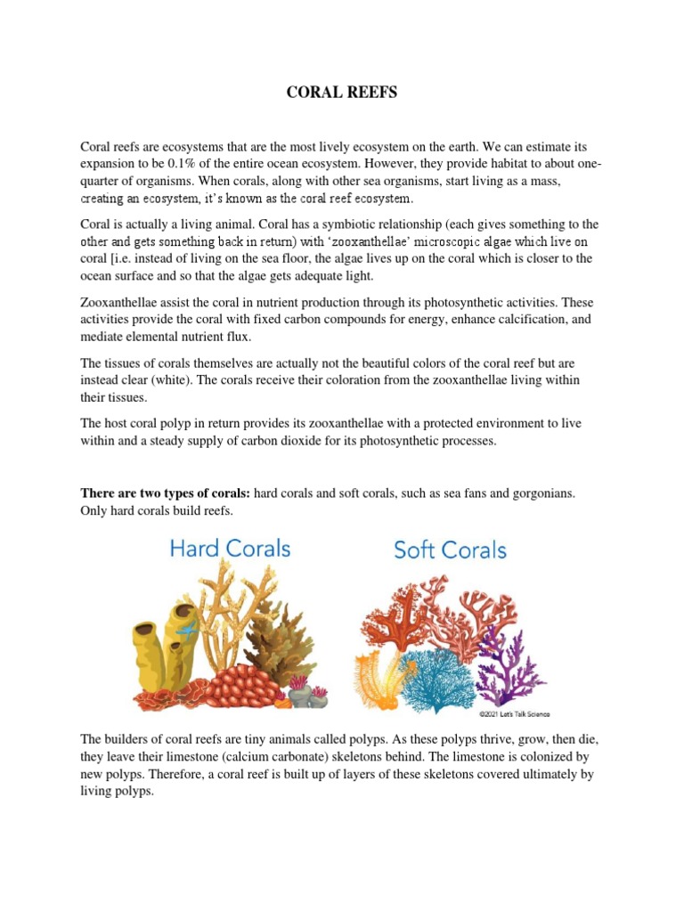 Coral Reefs | PDF | Coral Reef | Coral