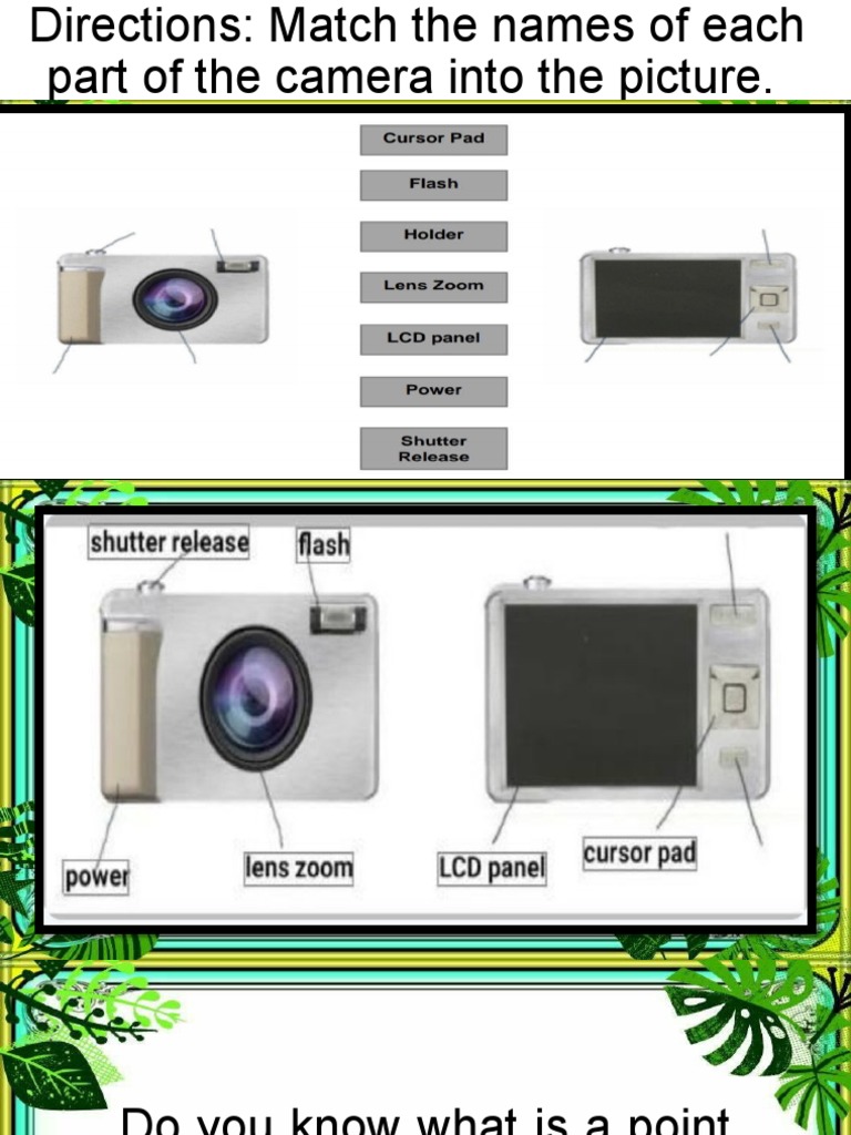 Point-and-Shoot Camera Basics Worksheet | PDF | Camera | Hobbies