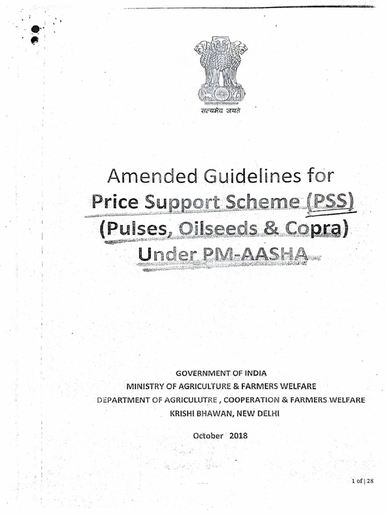 PSS Guidelines | PDF