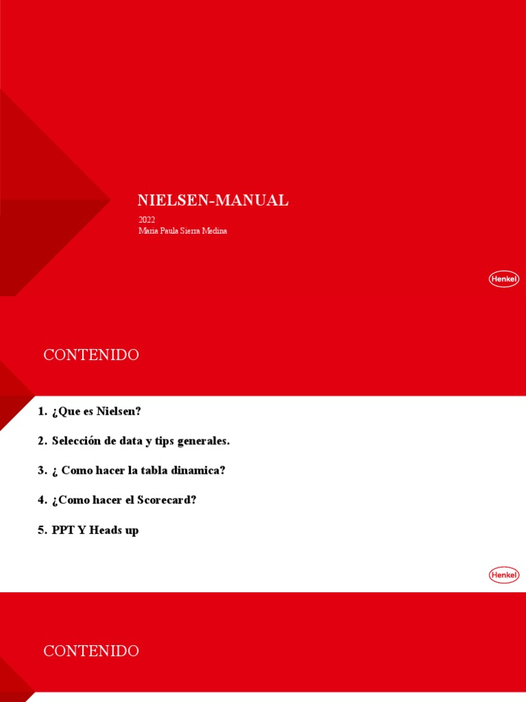 Guía de Uso de Nielsen para Datos Comerciales | PDF | Microsoft Excel ...