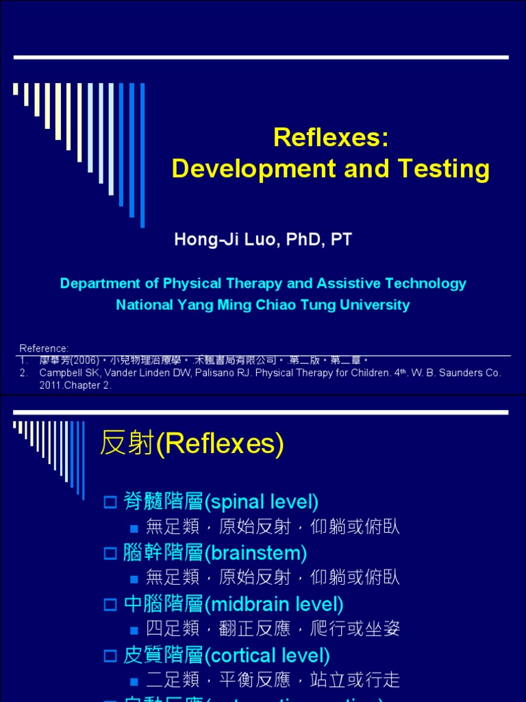 1112 Reflex | PDF | Anatomical Terms Of Motion | Human Leg