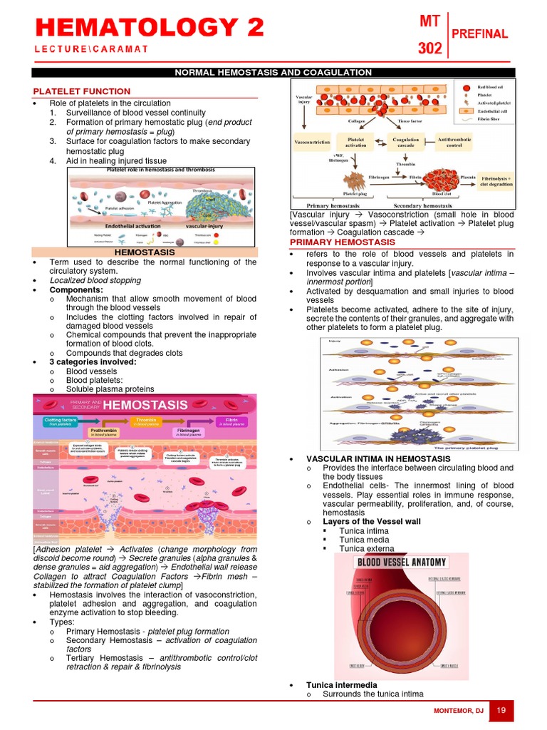 Hema2 Lec Prefinal | PDF | Coagulation | Platelet