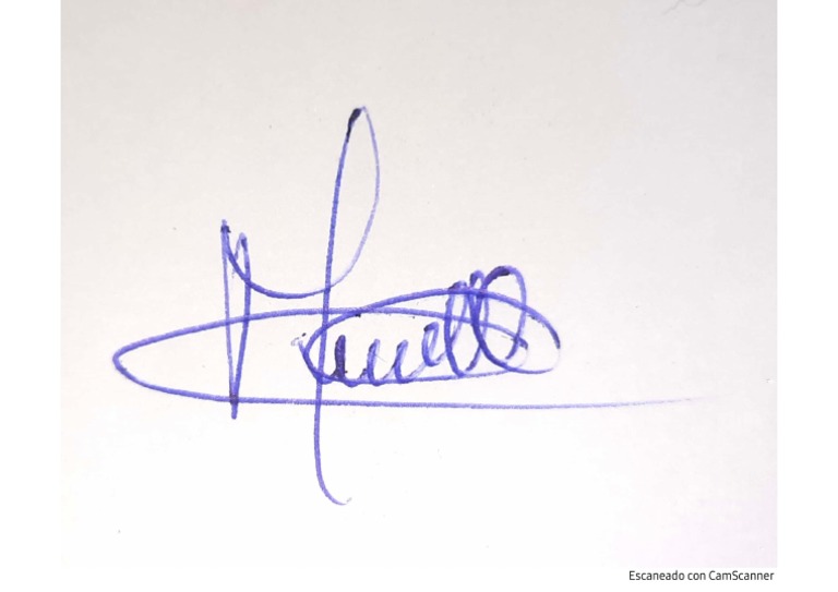 Firma Motta | PDF