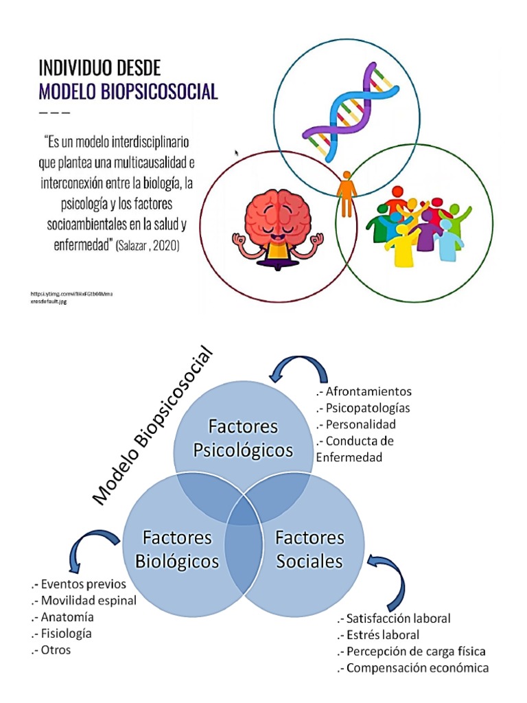 BioPsicoSocial_Imagen | PDF
