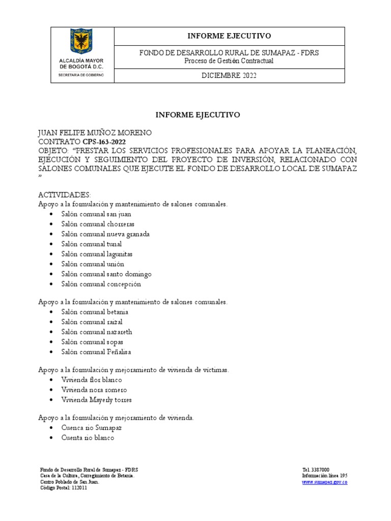 Informe Ejecutivo | PDF