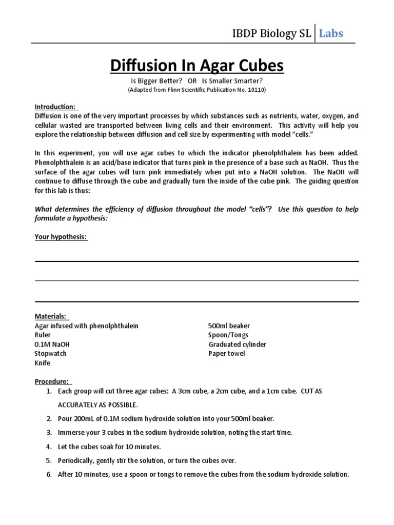 Agar Cube Lab | PDF