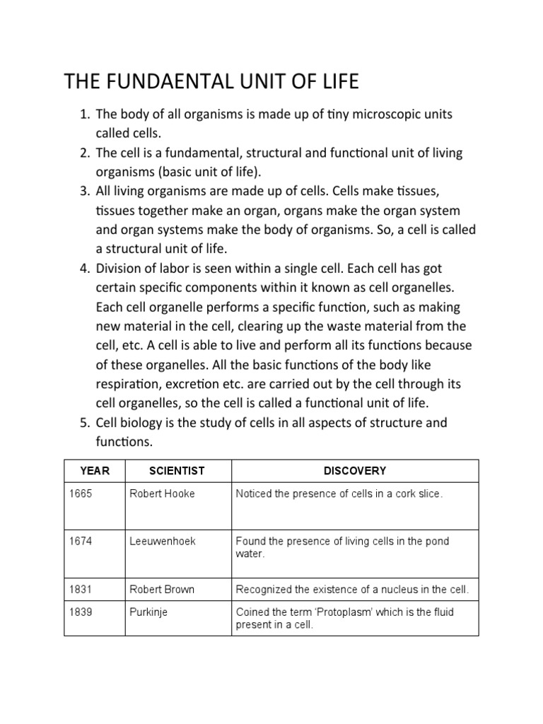 The Cell: Structure, Function, and Discovery of the Fundamental Unit of ...