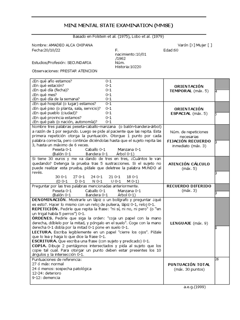 Minimentaldef MMSE | PDF
