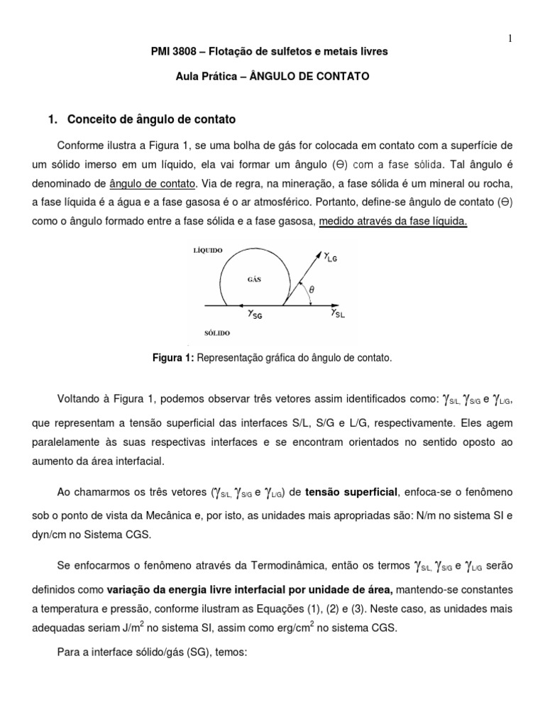 Lab1 Ângulo de Contato | PDF | Líquidos | Tensão superficial